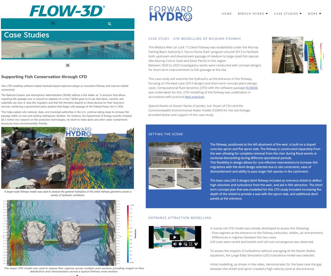 3D CFD Modelling – Hydro School
